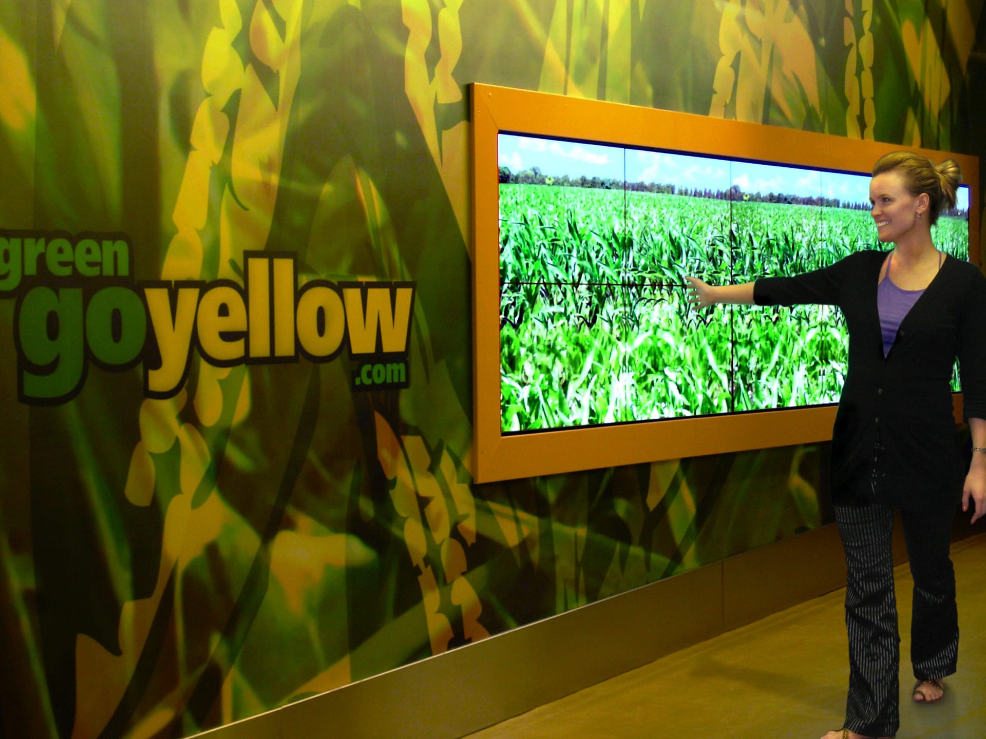 ScreenFX® Interactive Displays on LCD and Plasma Screens and ...